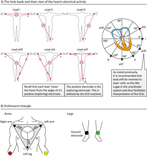 Clinical Electrocardiography (ECG) Interpretation