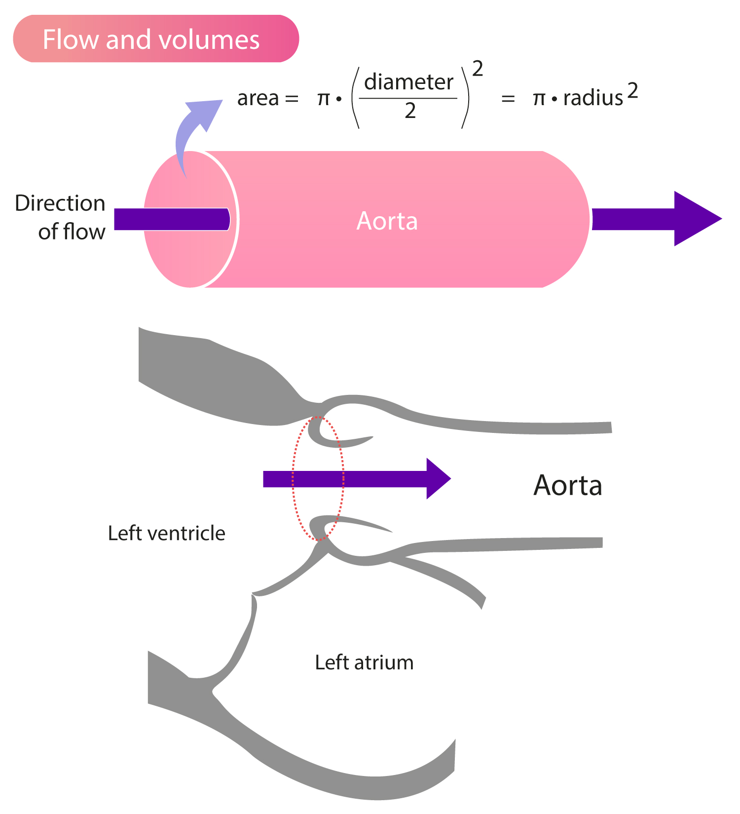 echocardiography-vti-velocity-time-integral-flow-volume – The ...