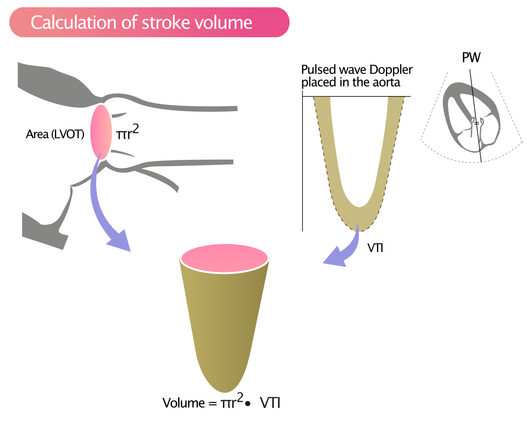 dP-dt-Isovolumic-Phase-Index-LV-Contractility-echocardiography – The ...