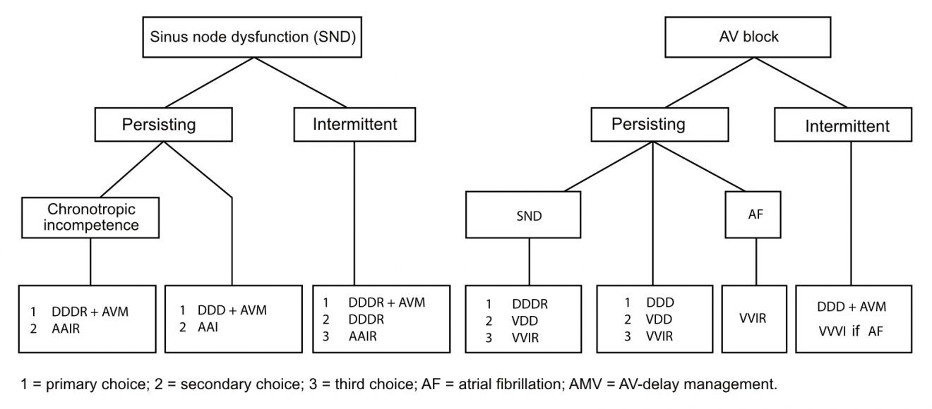 Basic cardiac pacing, pacemaker functions and settings