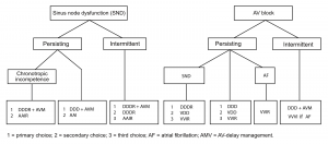 Basic cardiac pacing, pacemaker functions and settings
