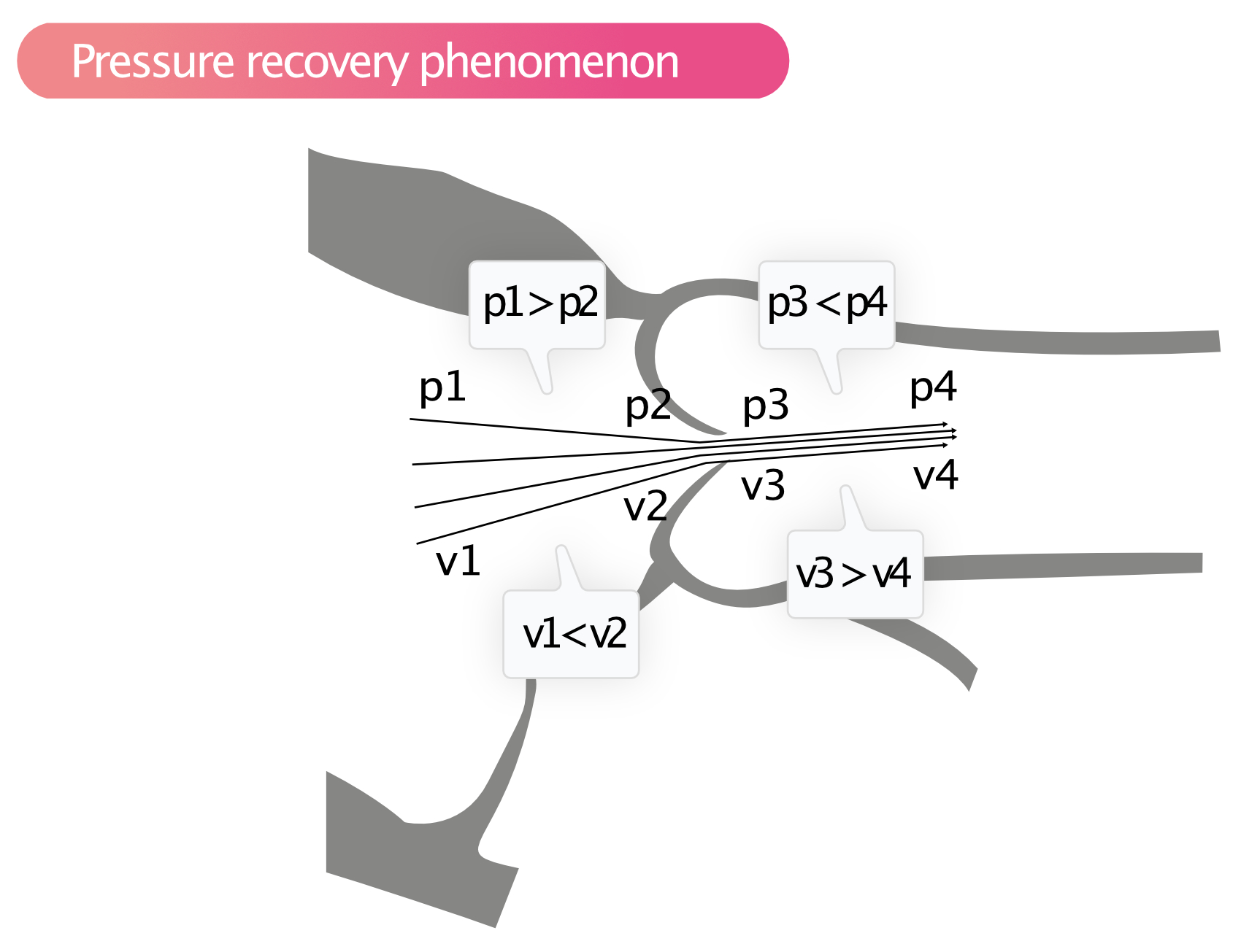 Pressure recovery phenomenon – The Cardiovascular