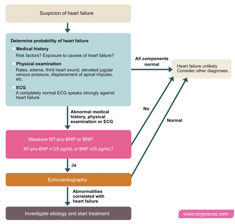 Heart failure: Causes, types, diagnosis, treatments & management