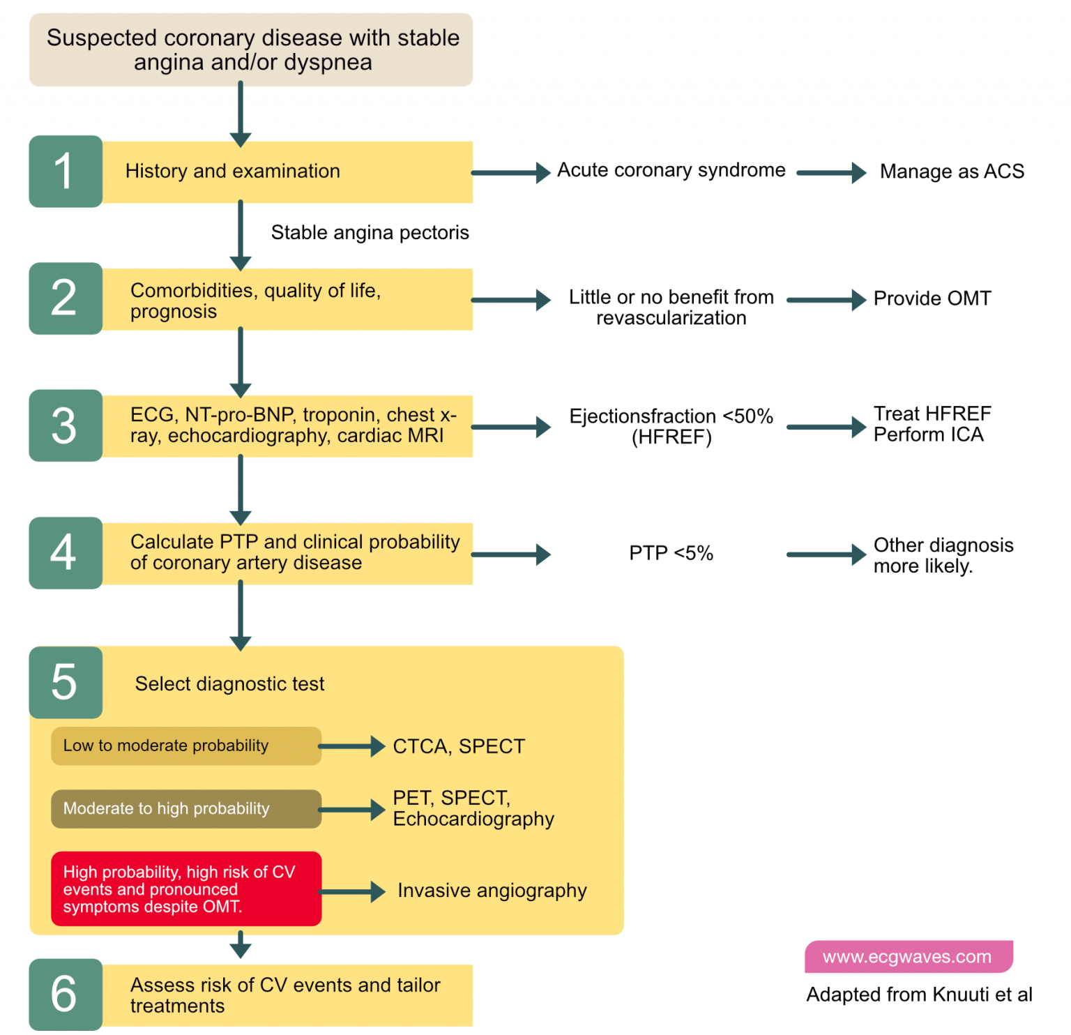 The Cardiovascular - A CVD Knowledge Base For Clinicians