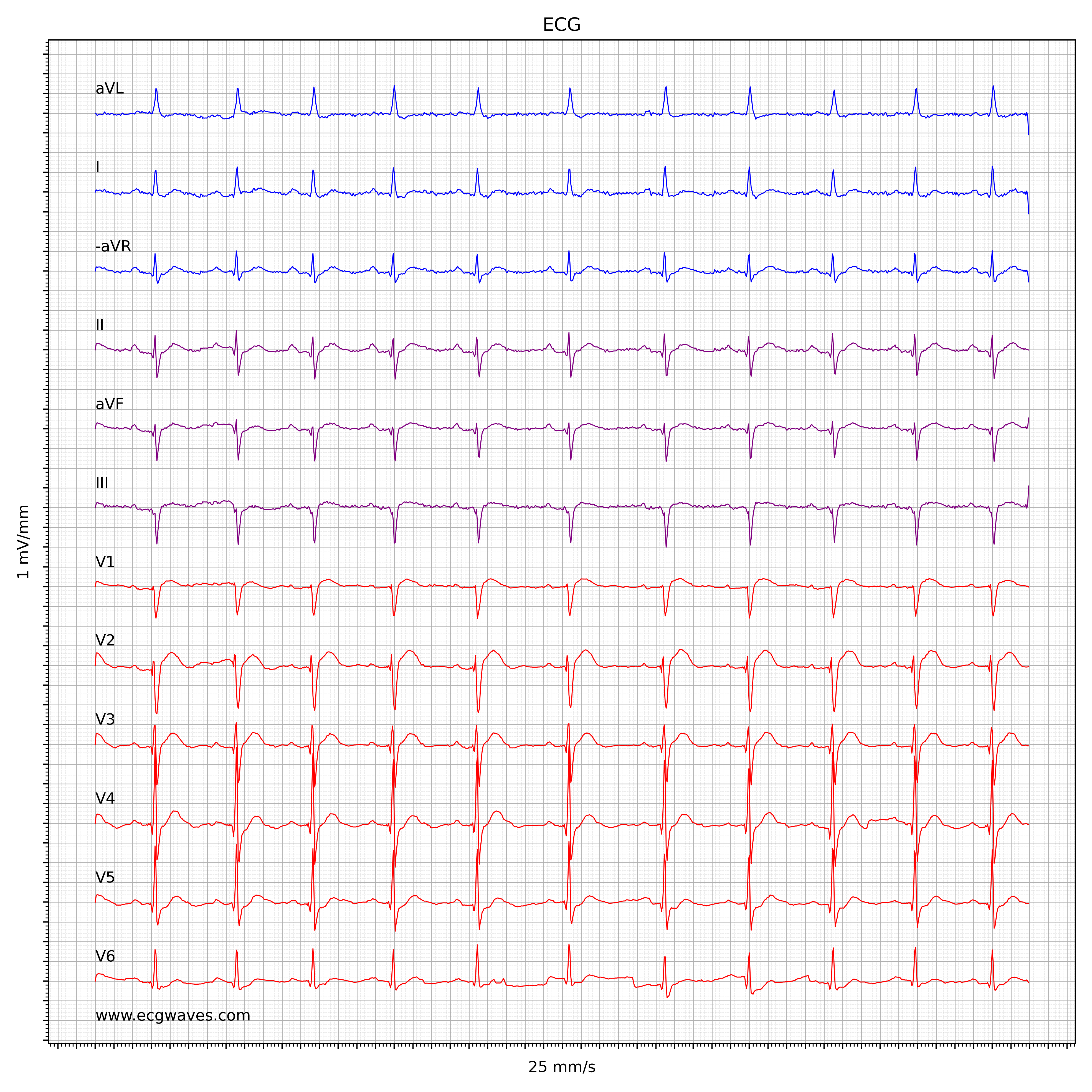 ecg-test-quiz_library_book_course_21815361 – The Cardiovascular
