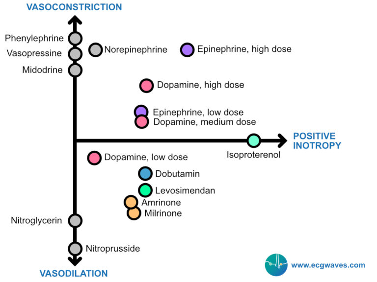 Inotropes and Vasopressors: Doses, indications, contraindications and ...