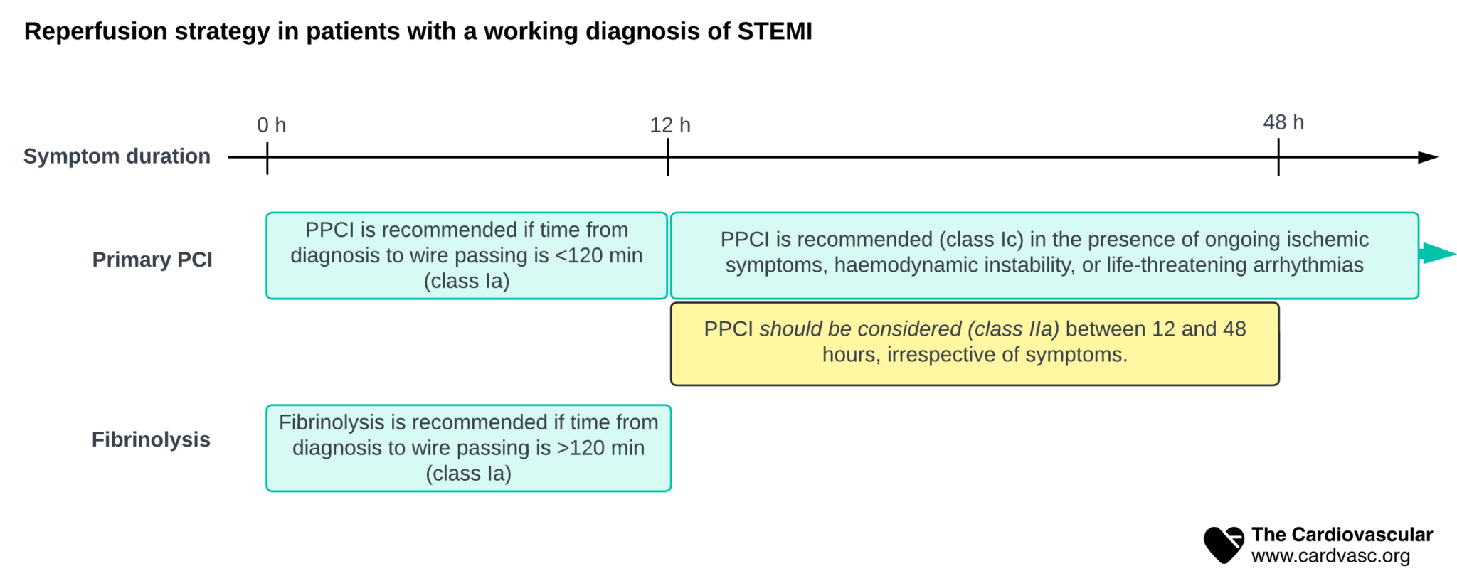 Reperfusion strategy in acute ST elevation acute myocardial infarction (STEMI) – The Cardiovascular