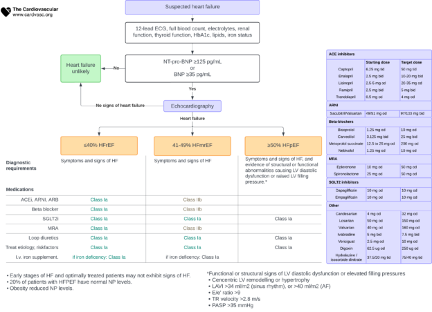 The Cardiovascular - A CVD Knowledge Base For Clinicians